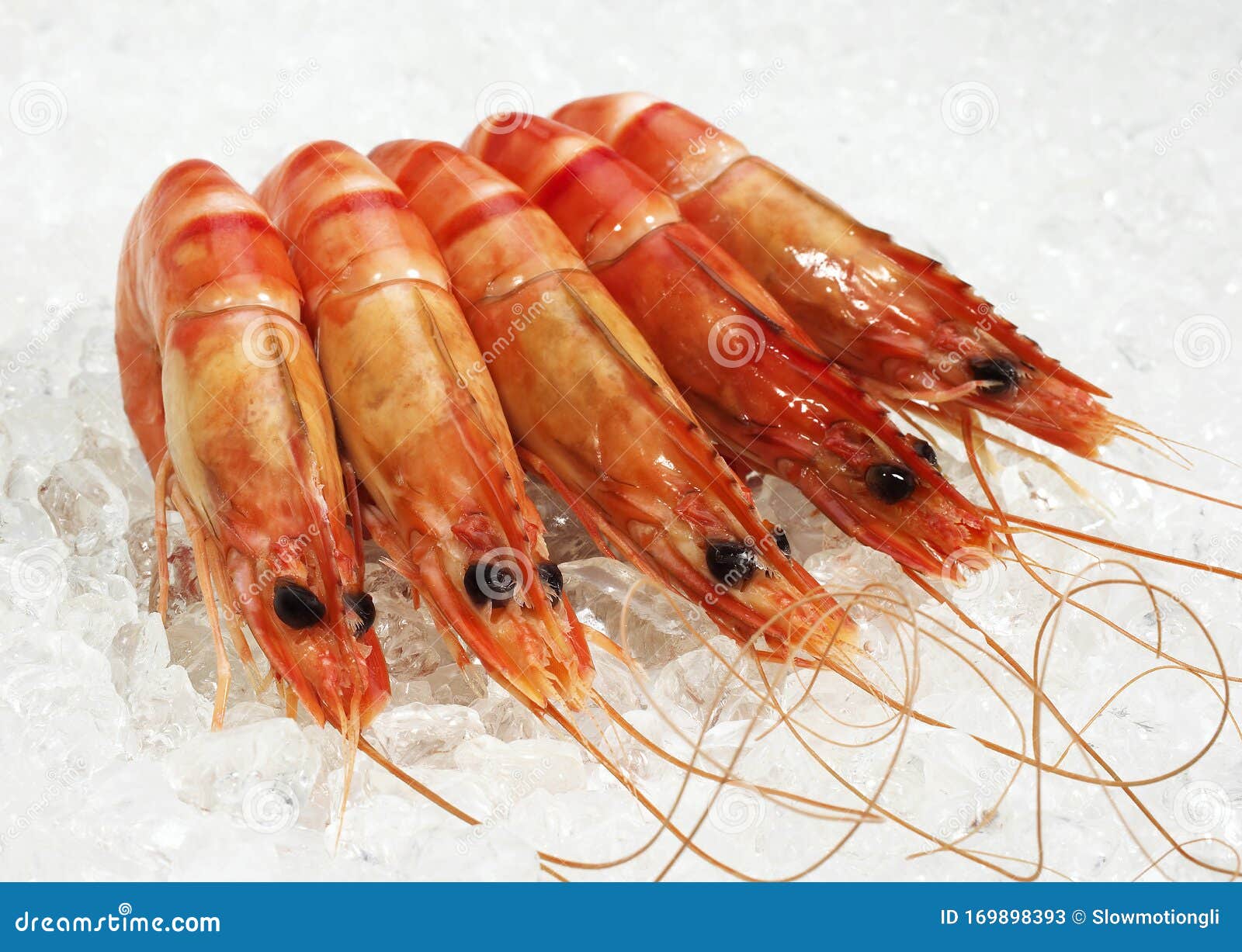 CREVETTE ROSE stock image. Image of shop, shrimp, prawn - 169898393