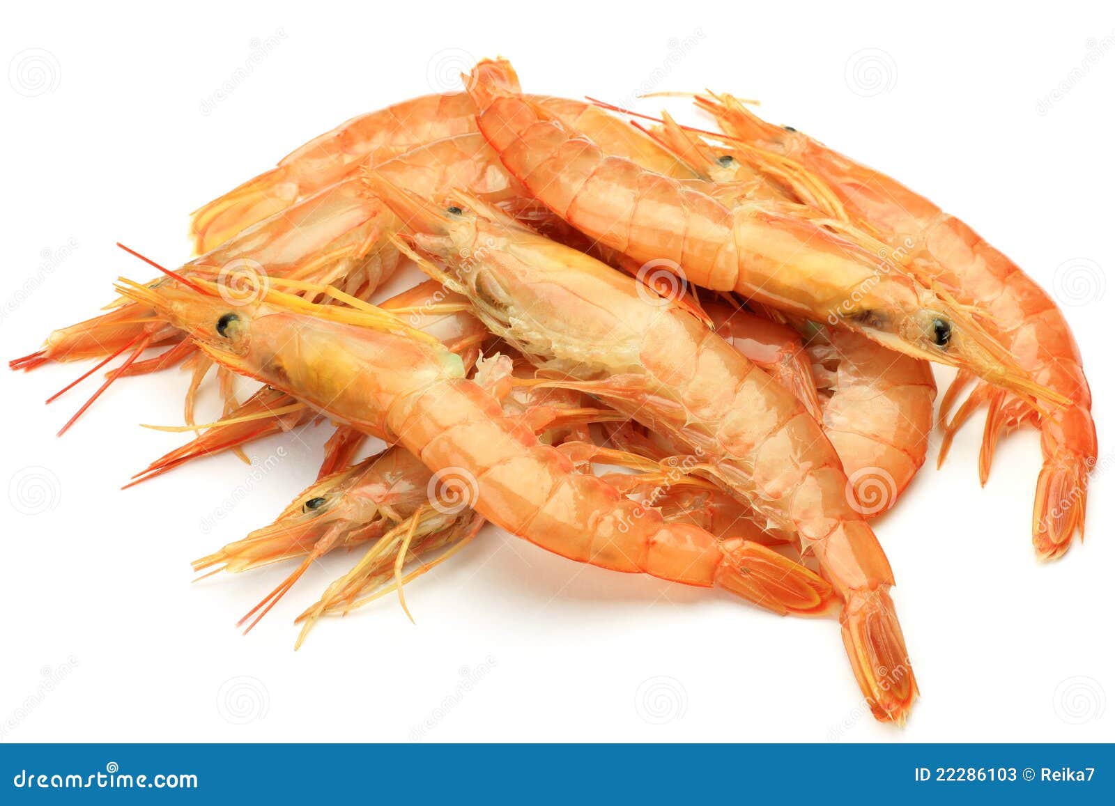 Crevette rouge image stock. Image du produits, virginité - 22286103