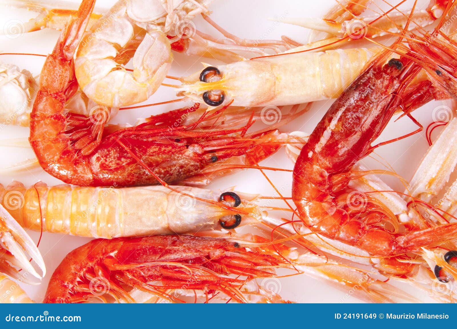 Crevette, rouge et orange image stock. Image of orange - 24191649