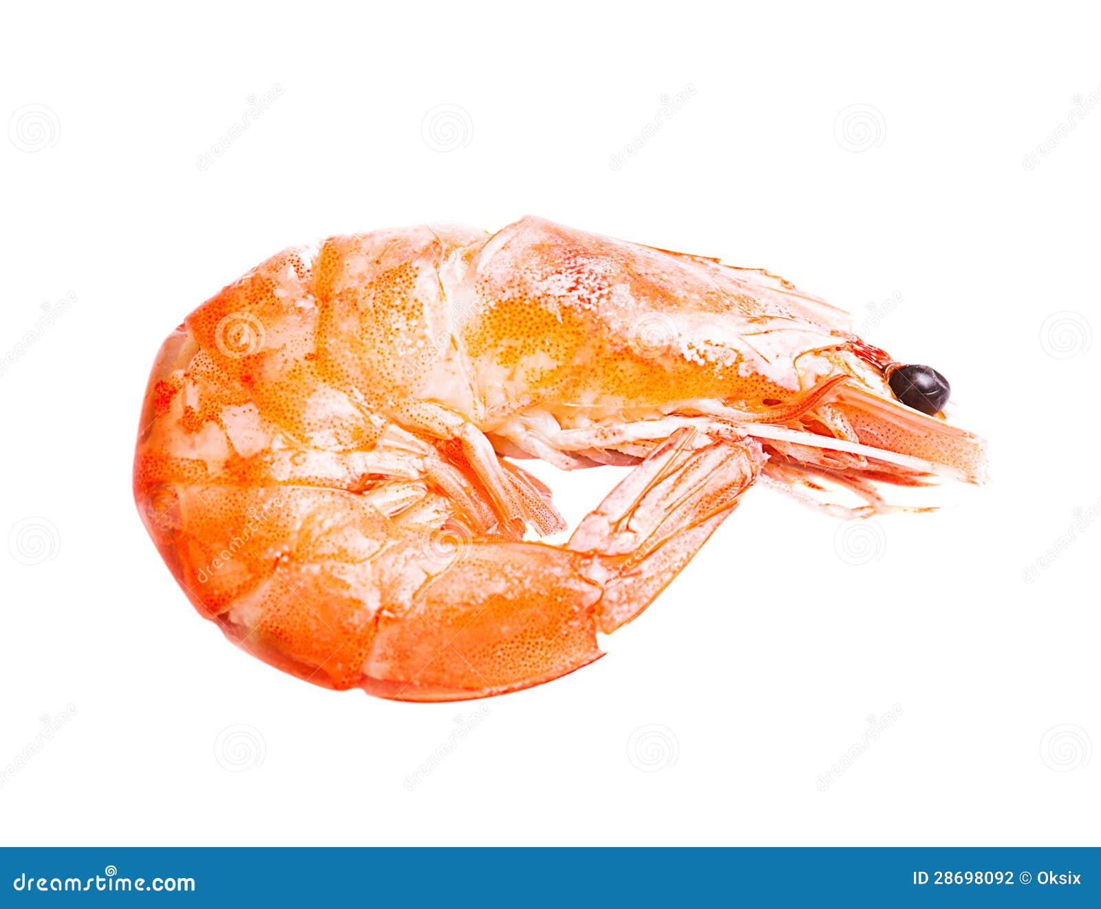 Crevette royale photo stock. Image du rouge, ingrédient - 28698092