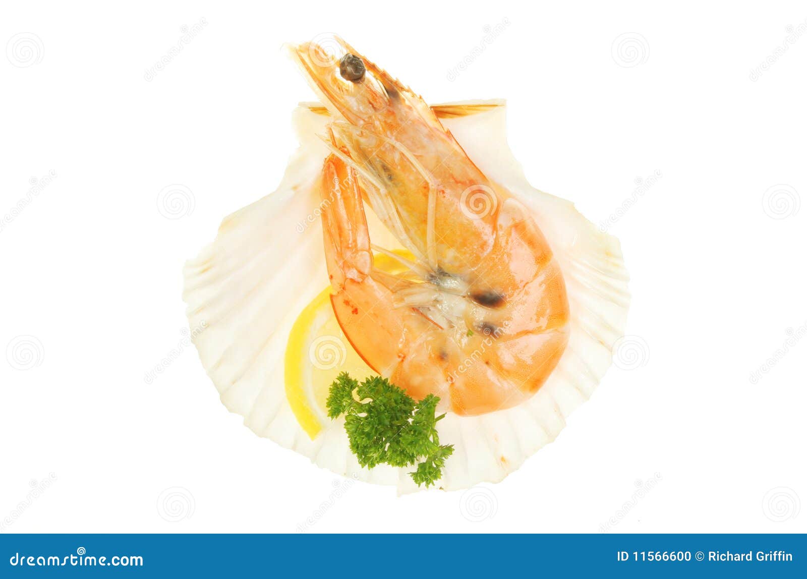 Crevette in shell stock photo. Image of lemon, prawn - 11566600