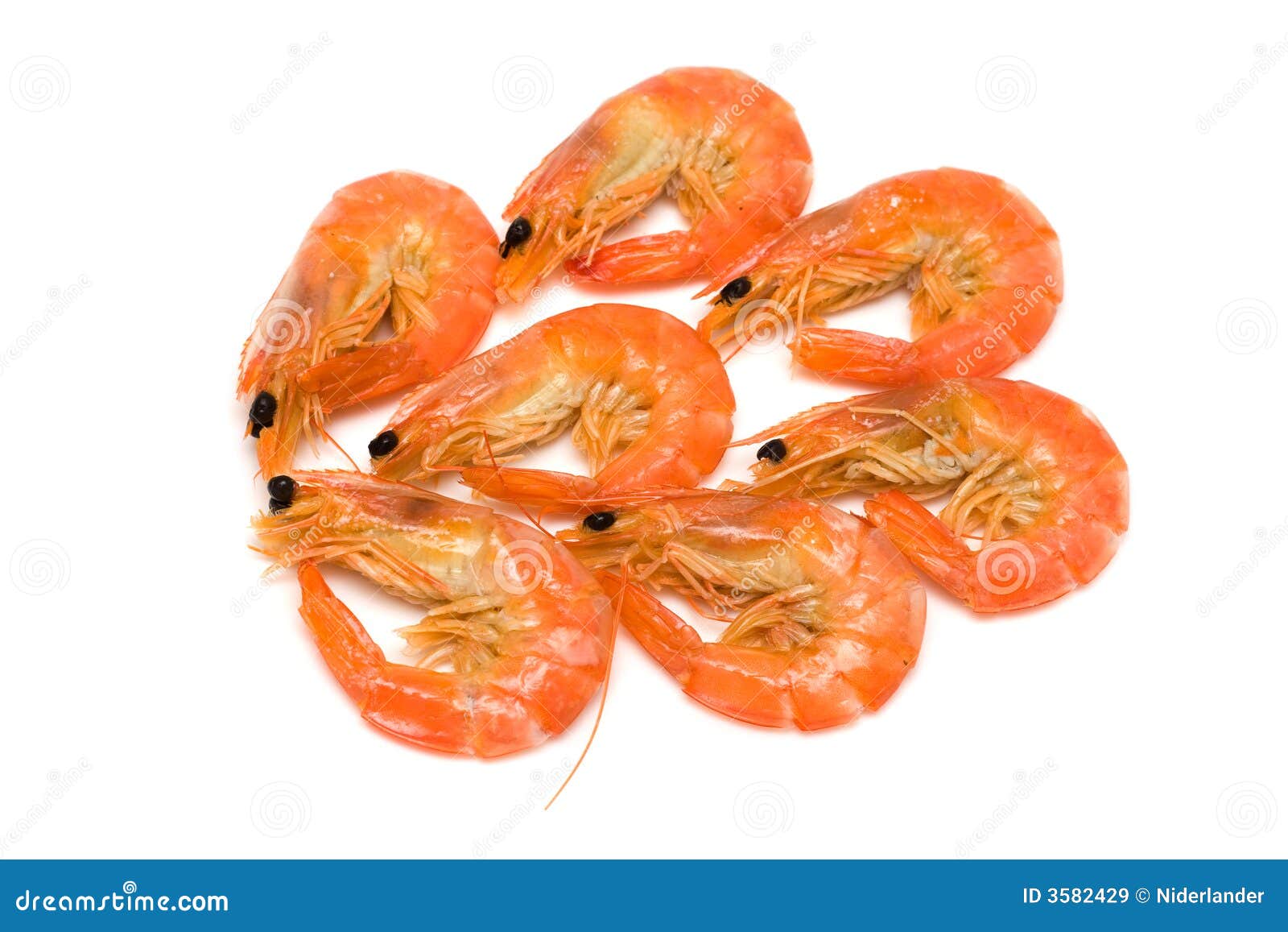 Crevettes image stock. Image du manger, fond, frais, ingrédients - 3582429