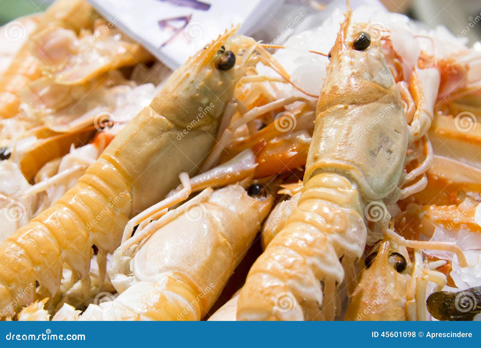 Crevettes photo stock. Image du tête, poissons, coque - 45601098