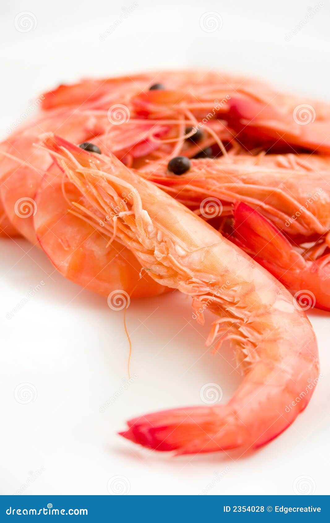 Crevettes roses cuites photo stock. Image du seafood, nourriture - 2354028