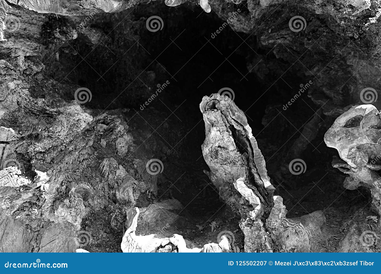 The Crevice stock image. Image of dried, print, faraway - 125502207
