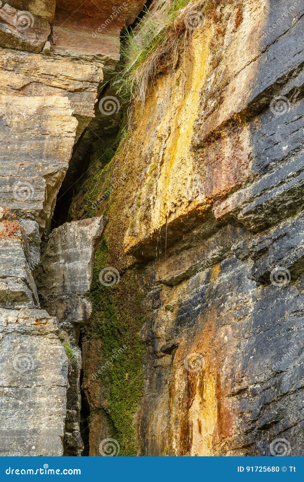 Crevice on a rock stock photo. Image of crack, green - 91725680