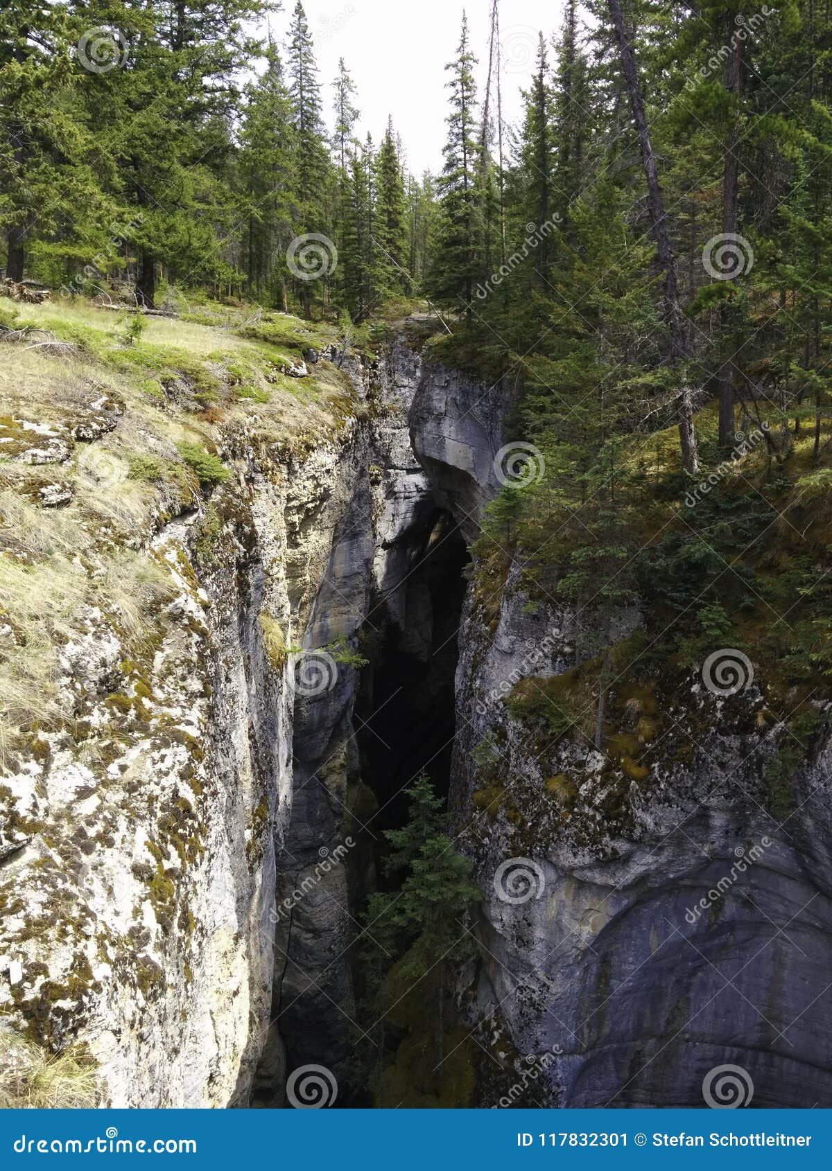 A crevice in the woods stock image. Image of autumn - 117832301