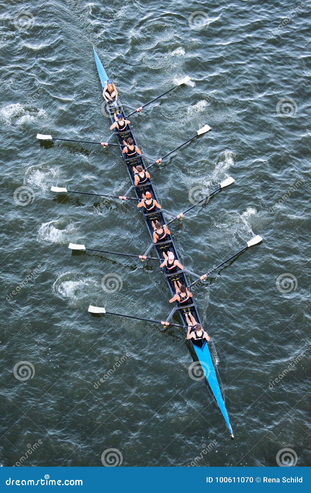 Crew Team in Competition editorial image. Image of compete - 100611070