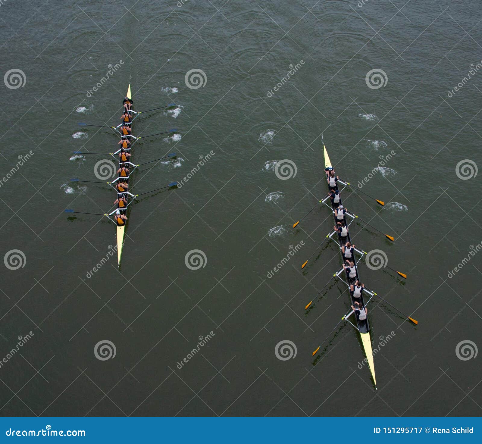 Crew Teams in Competition editorial photography. Image of race - 151295717