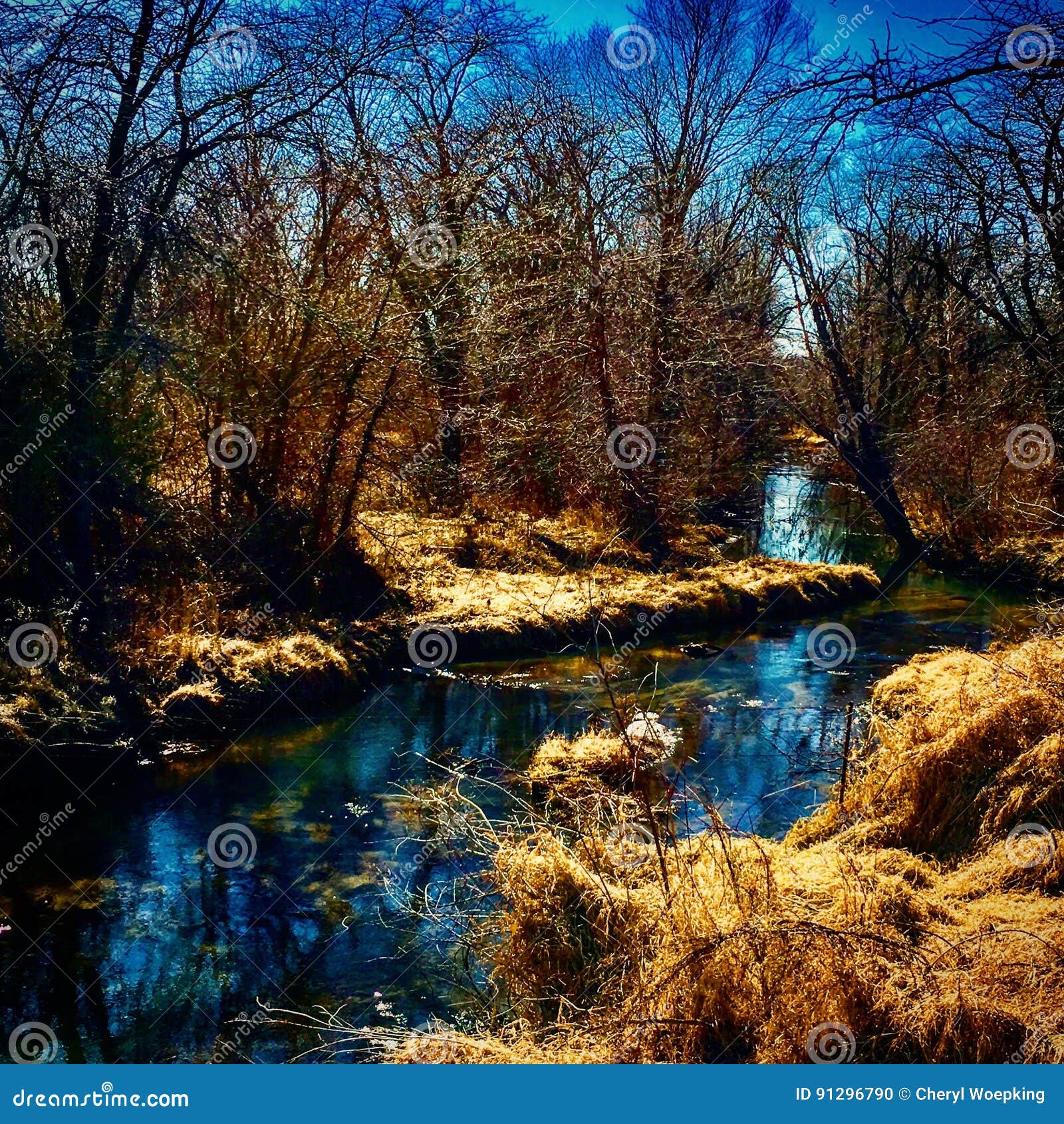 Crick Bottom stock photo. Image of days, water, crick - 91296790