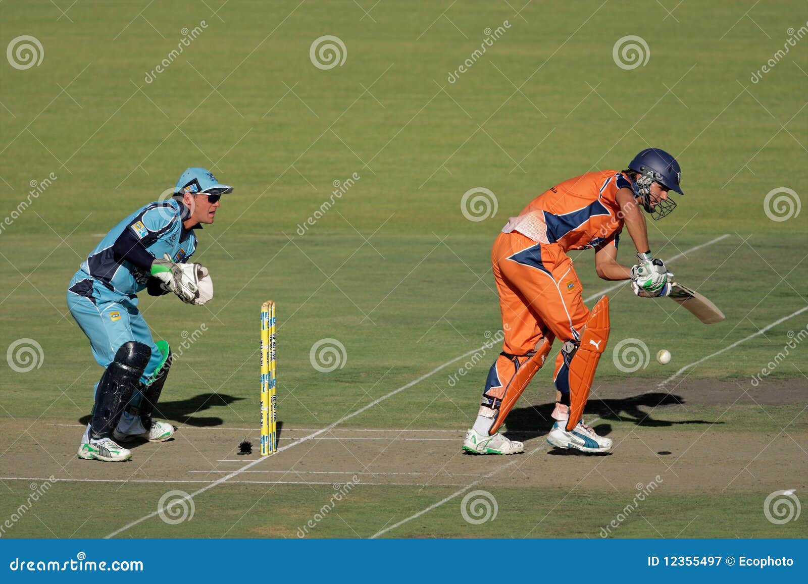 Cricket action editorial photography. Image of competitive - 12355497