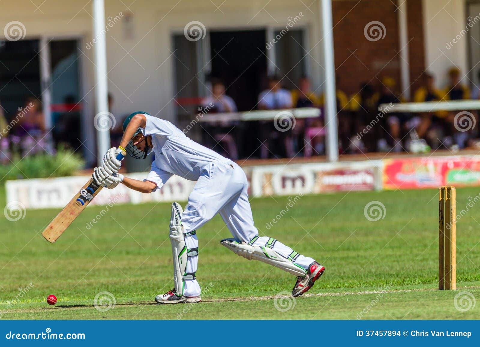 Cricket Action Sport editorial stock image. Image of high - 37457894