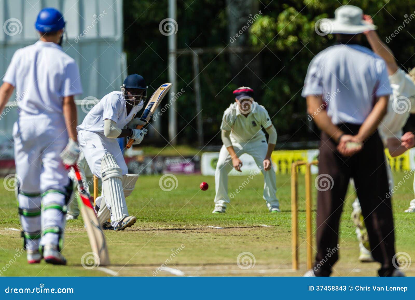 Cricket Action Sport editorial stock photo. Image of skill - 37458843