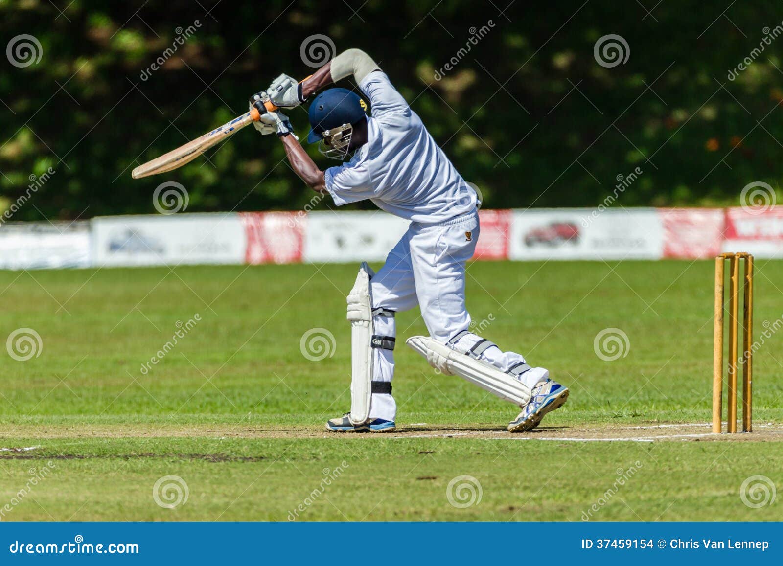 Cricket Action Sport editorial stock image. Image of high - 37459154