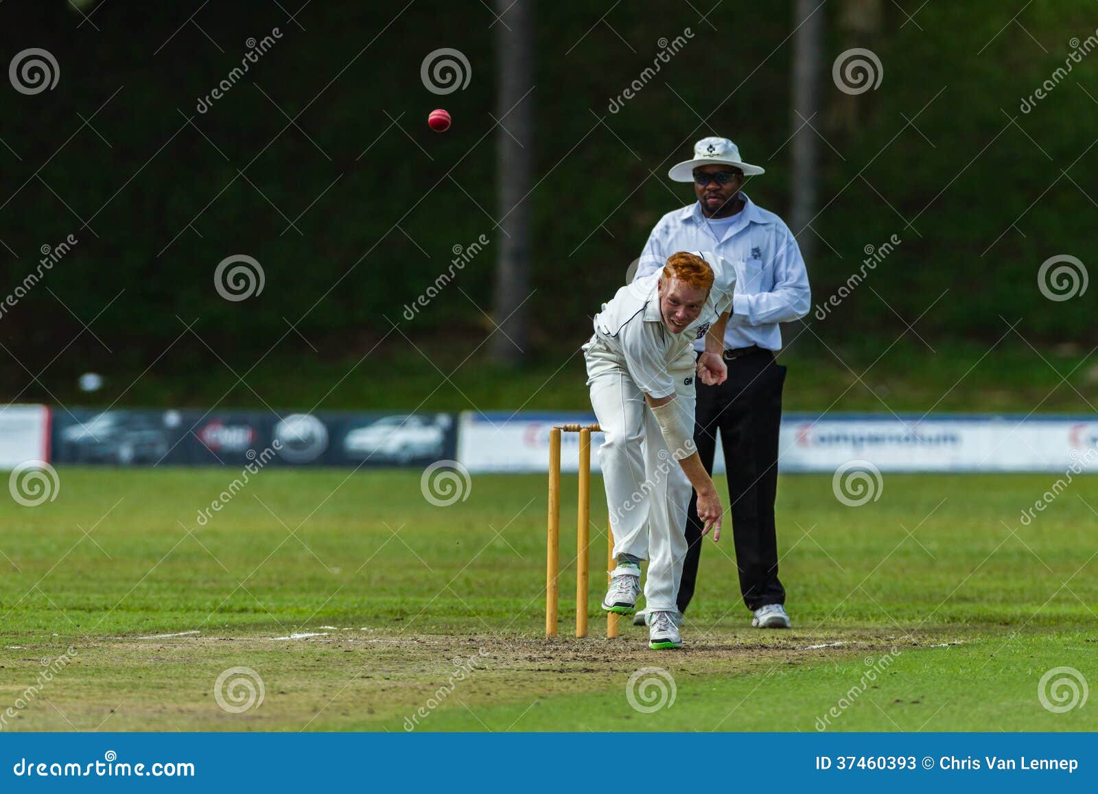 Cricket Action Sport editorial stock photo. Image of play - 37460393