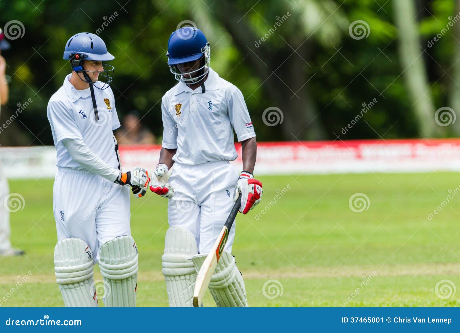Cricket Action Sport editorial photo. Image of sportsmanship - 37465001