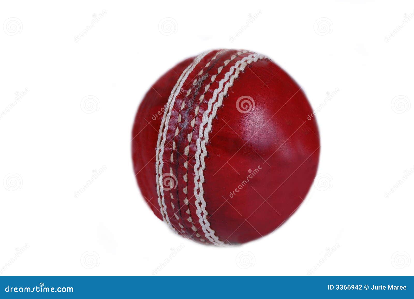 Cricket Ball. stock photo. Image of sport, ball, studio - 3366942
