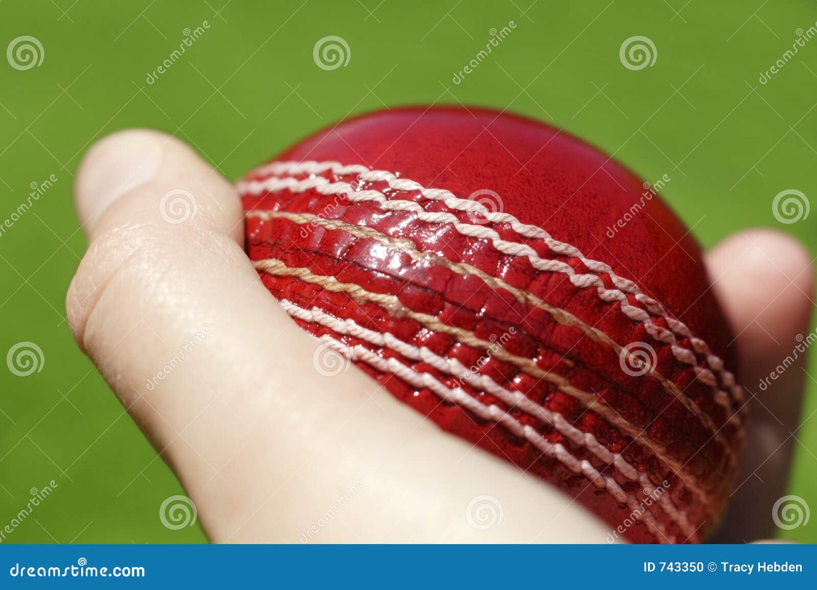 Cricket ball stock photo. Image of competition, cricket - 743350