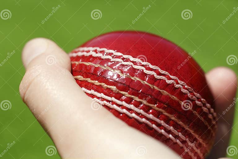 Cricket ball stock photo. Image of competition, cricket - 743350