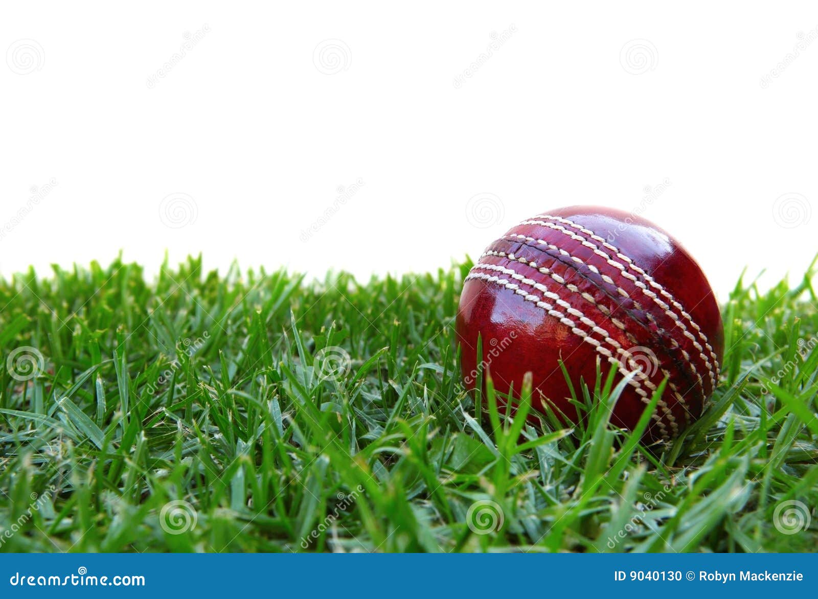 Cricket Ball stock photo. Image of white, background, leather - 9040130