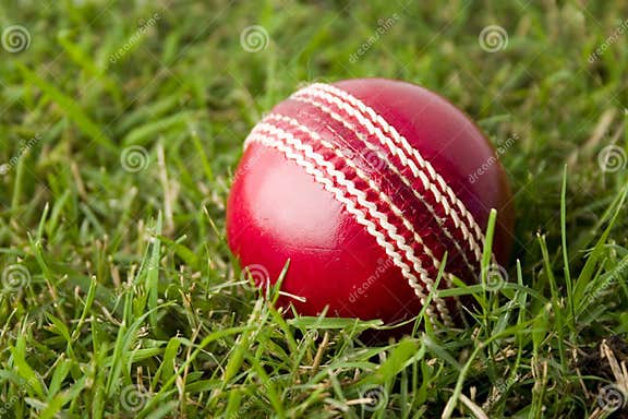 Cricket ball on grass stock image. Image of leather, cricket - 1965955
