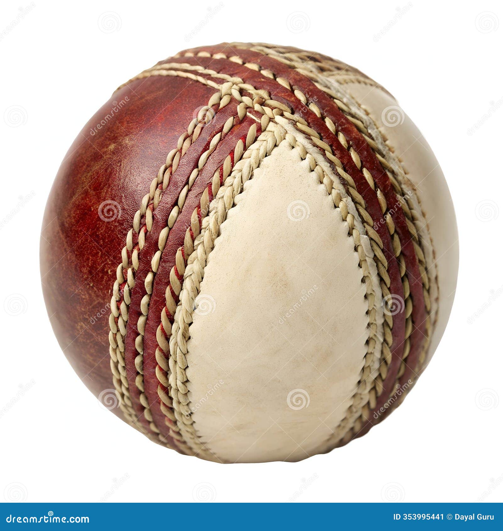 Detailed Cricket Drawing Anatomy Morphology And Texture Stock Photo ...