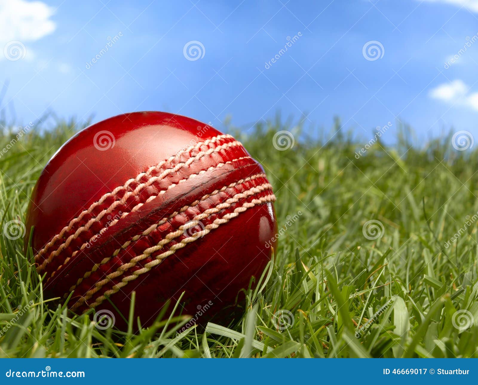 Cricket Ball stock image. Image of leather, summer, close - 46669017