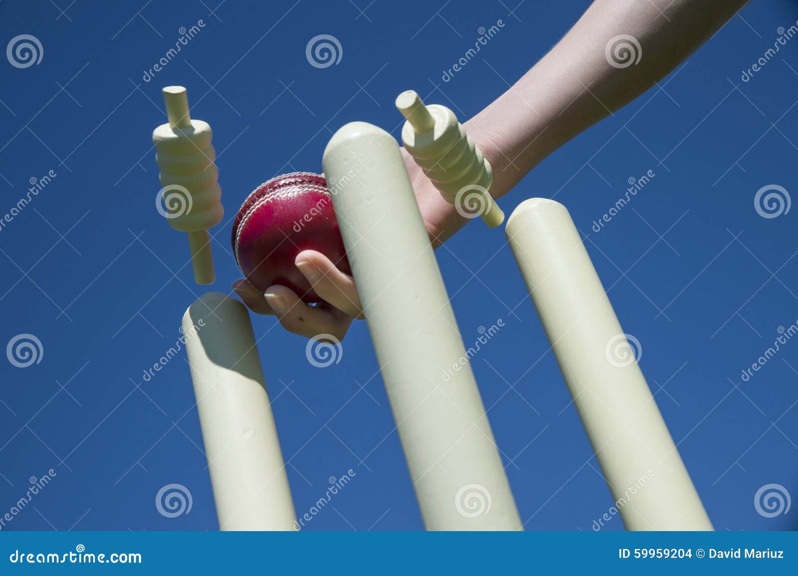 Cricket Wicket Bails