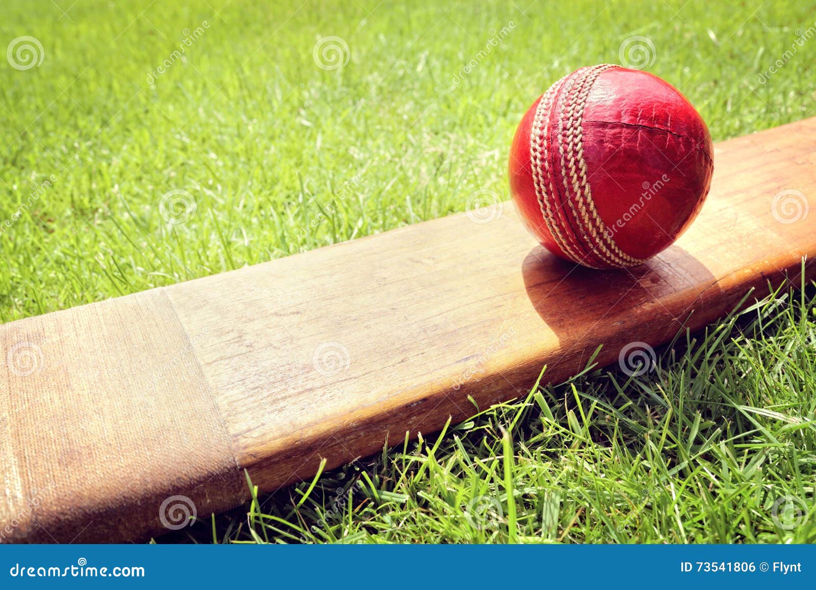 Cricket bat and ball stock photo. Image of batting, british - 73541806