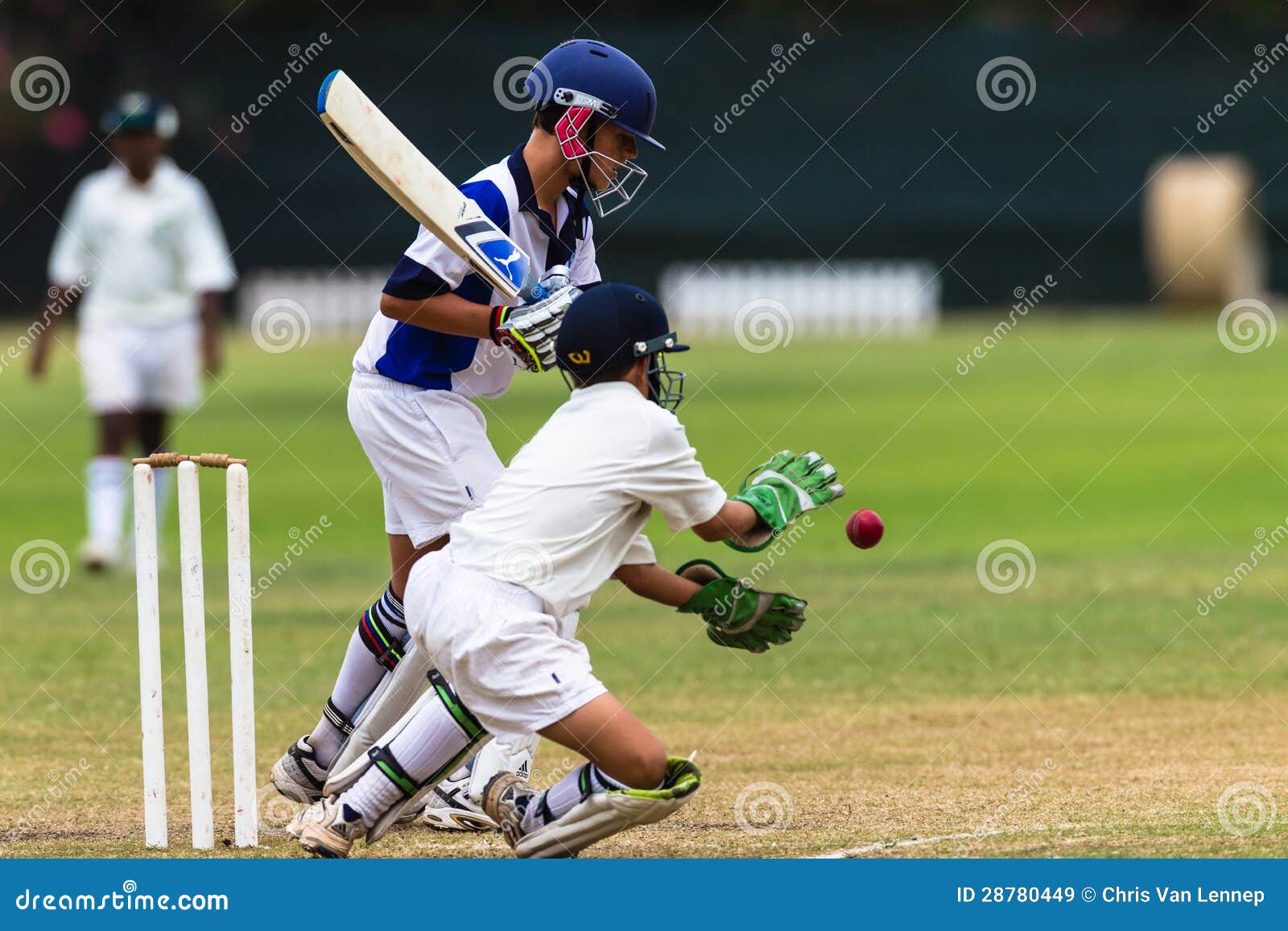 Close-up Of Umpire And Pitcher During Professional Baseball Game ...