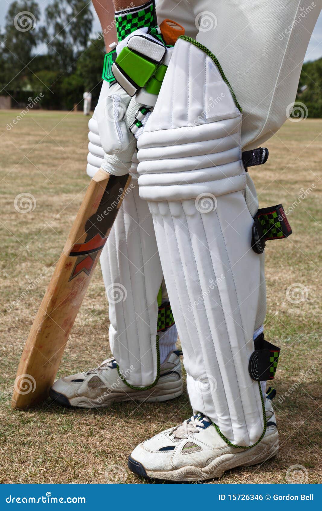 Cricket batsman stock photo. Image of stance, cricketer - 15726346