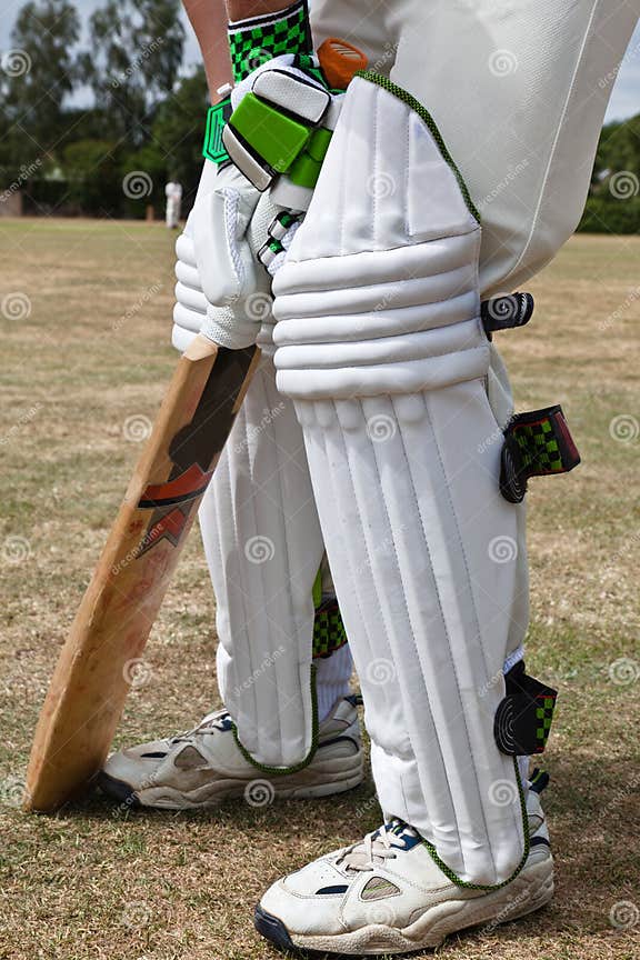 Cricket batsman stock photo. Image of stance, cricketer - 15726346