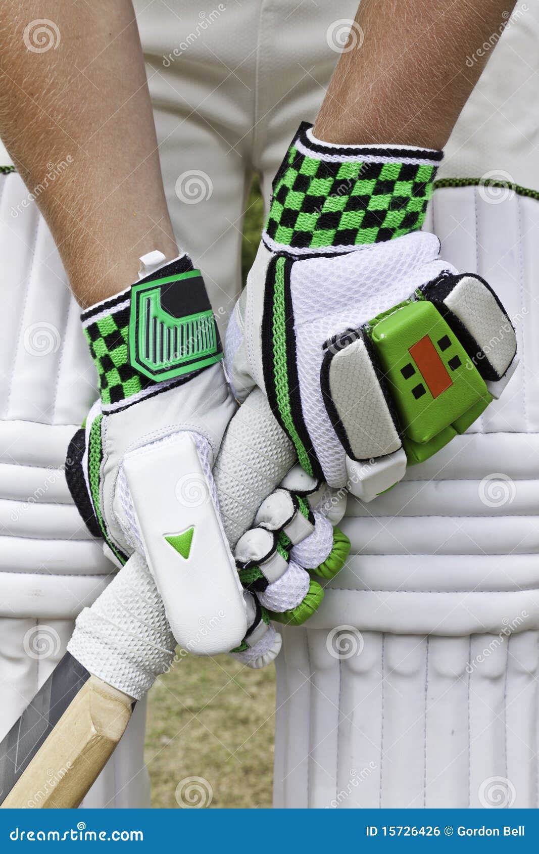 Cricket batsman stock photo. Image of guard, cricket - 15726426