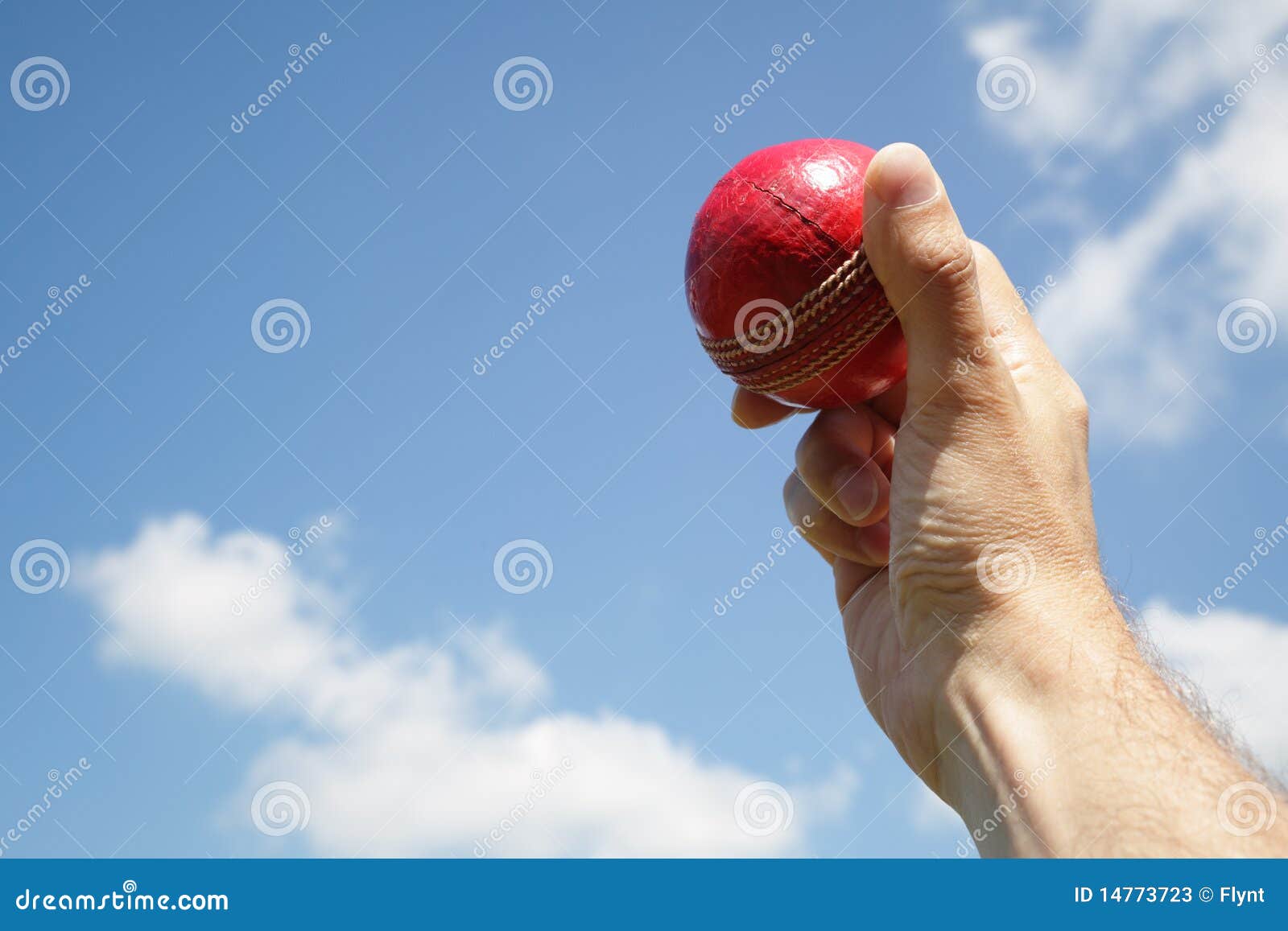 Cricket Bowler with Ball in Hand Stock Image - Image of single, bowler ...