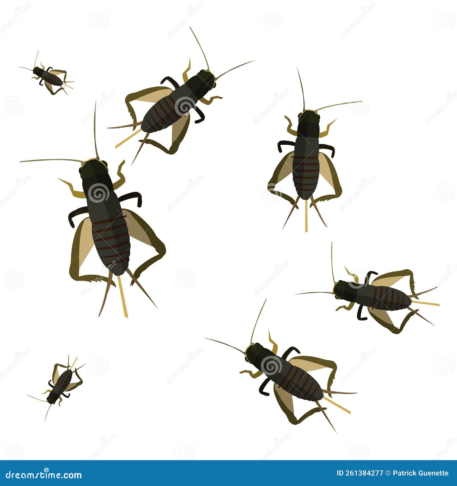 Cricket bugs, icon stock vector. Illustration of graphic - 261384277