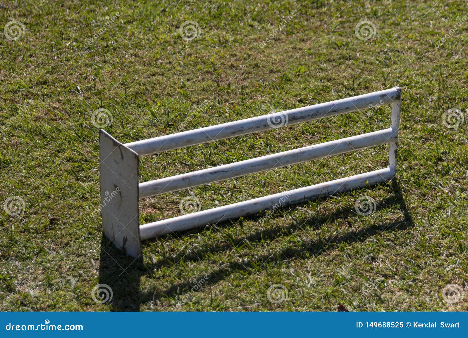 Cricket stock image. Image of outdoors, white, light - 149688525