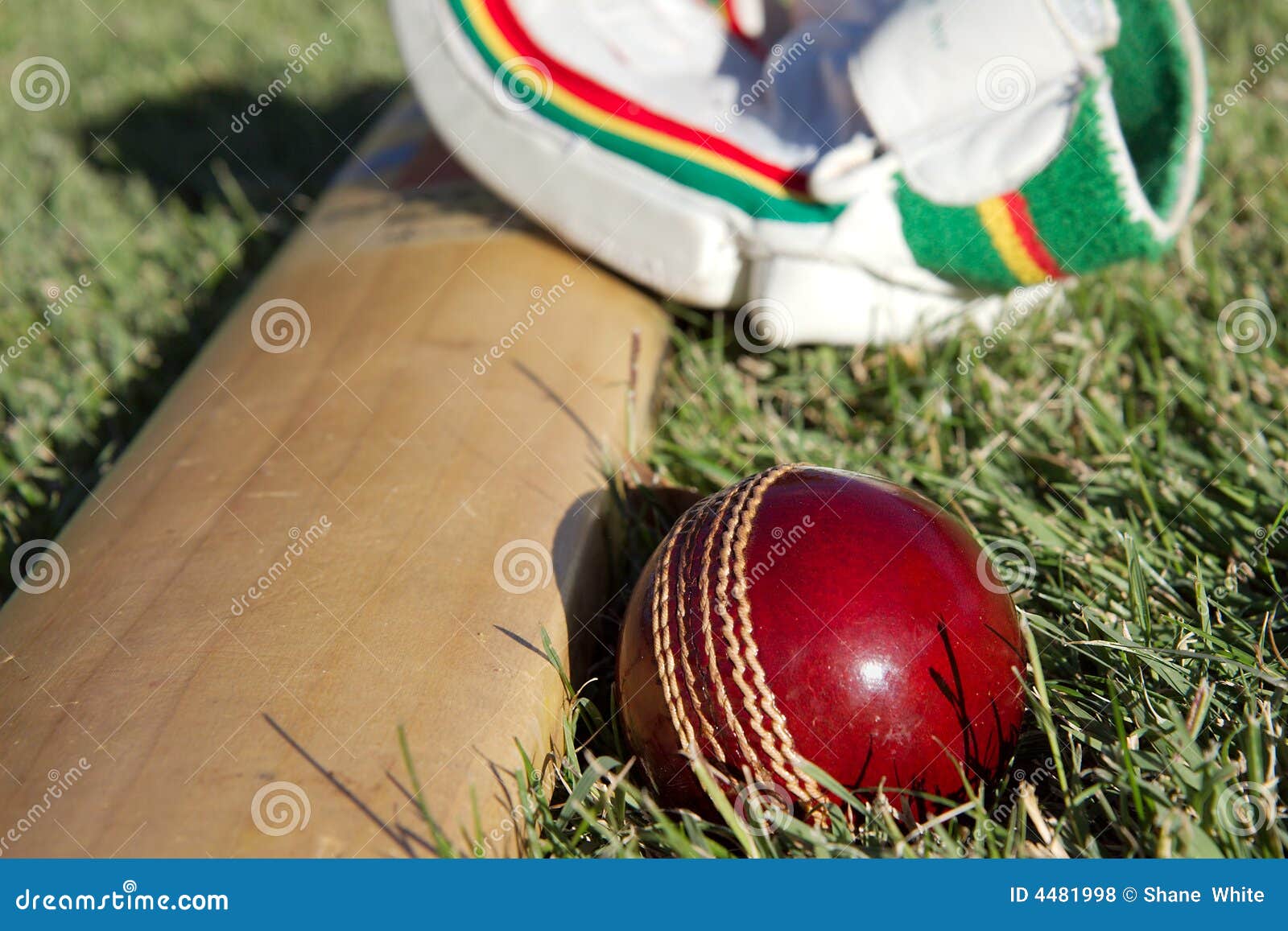 Cricket equipment. stock photo. Image of basics, green - 4481998