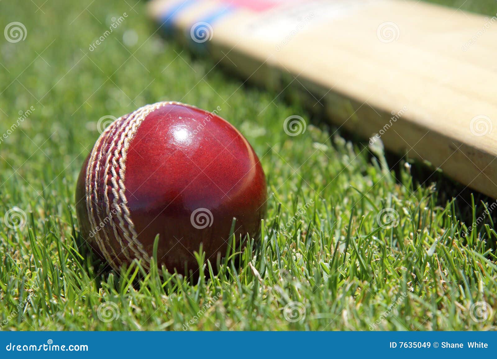 Cricket equipment. stock image. Image of detail, texture - 7635049