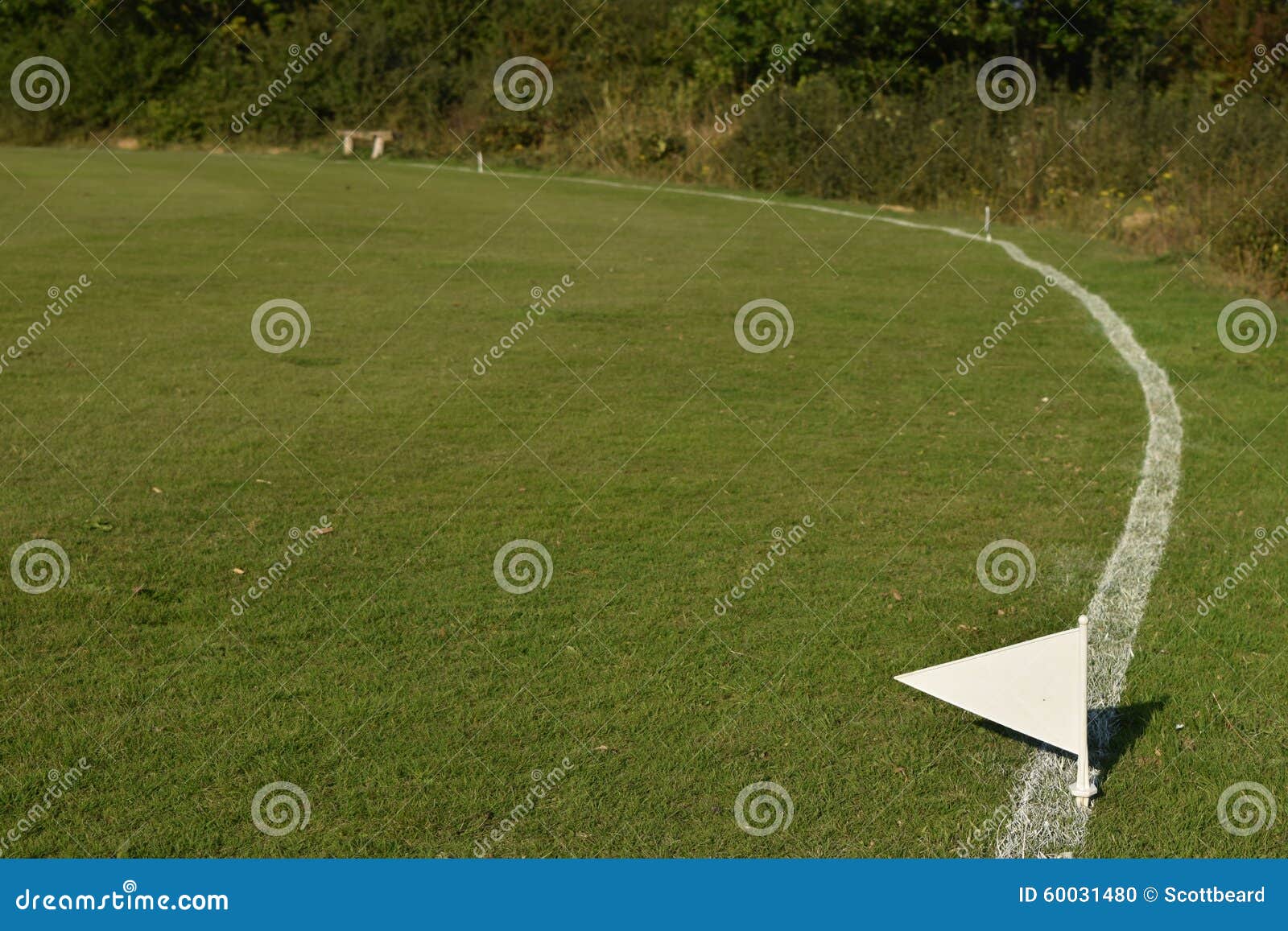 Horizontal Cricket Pitch Texture Close Up. Green Grass. Indoor Cricket ...