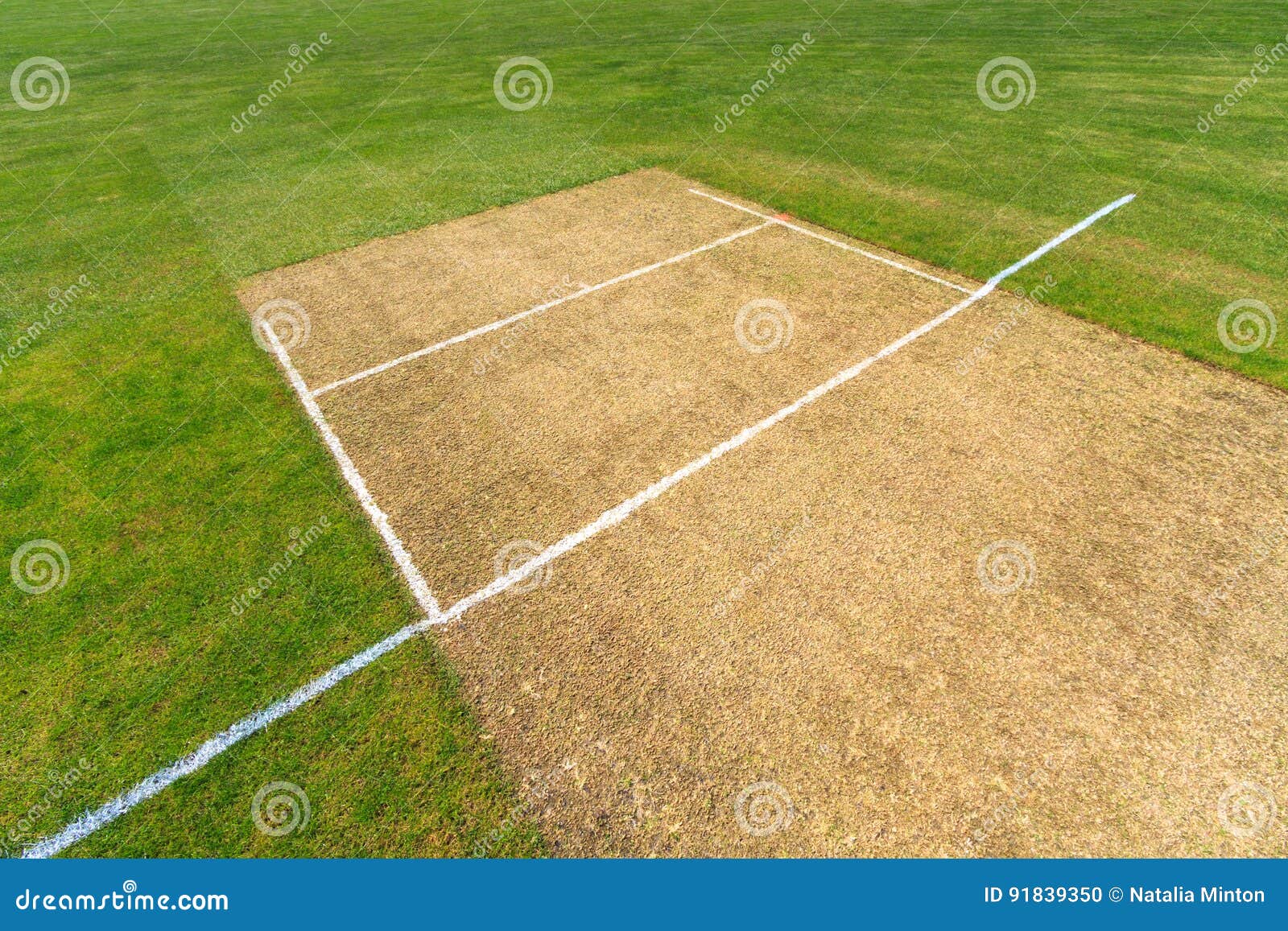 Cricket field stock photo. Image of trees, exterior, cultivated - 91839350