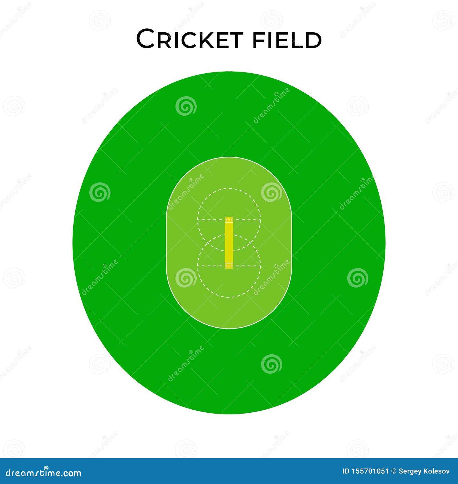 Cricket Field in Real Proportions, Cricket Stadium Stock Vector ...