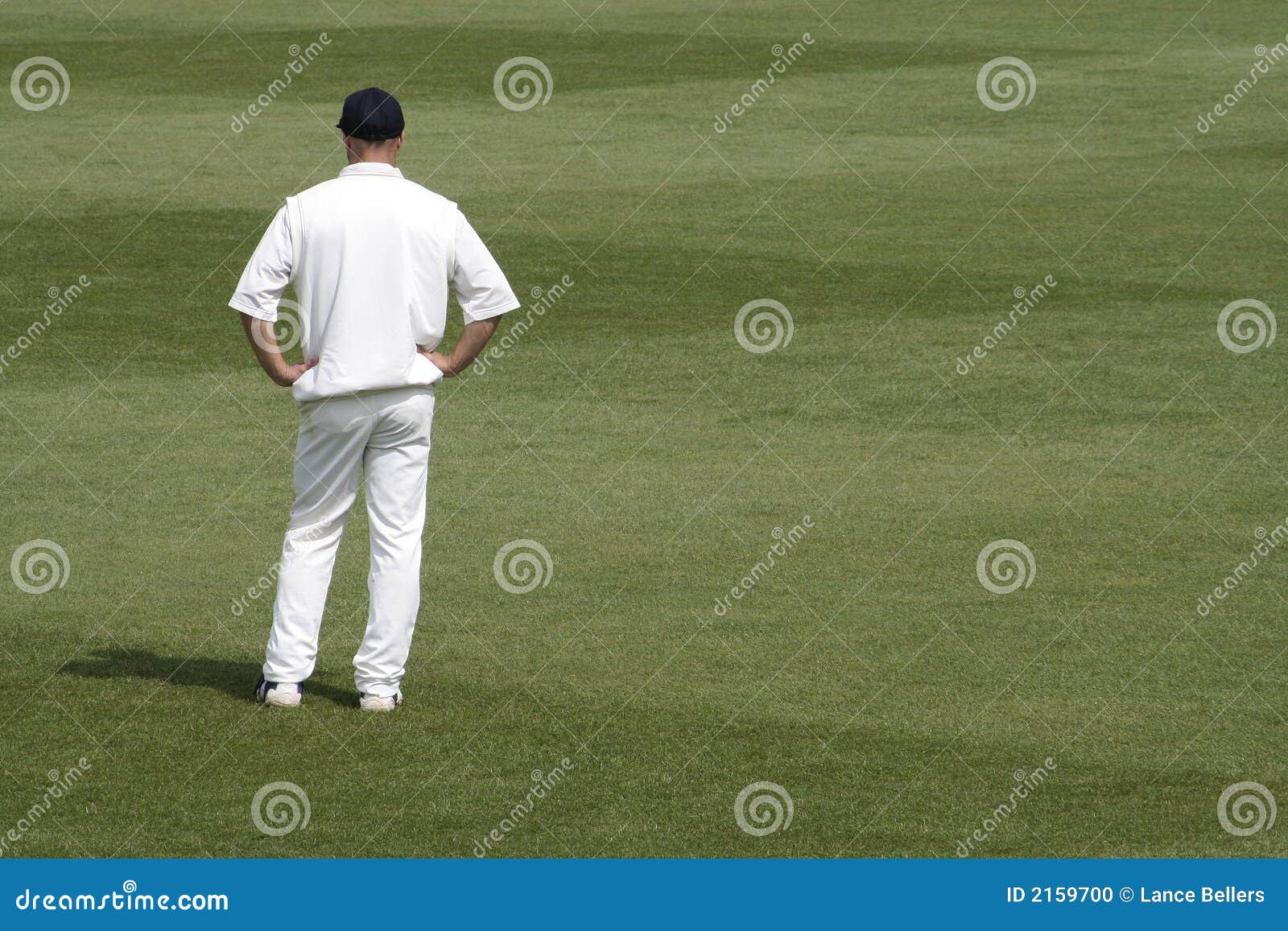 Cricket Fielder