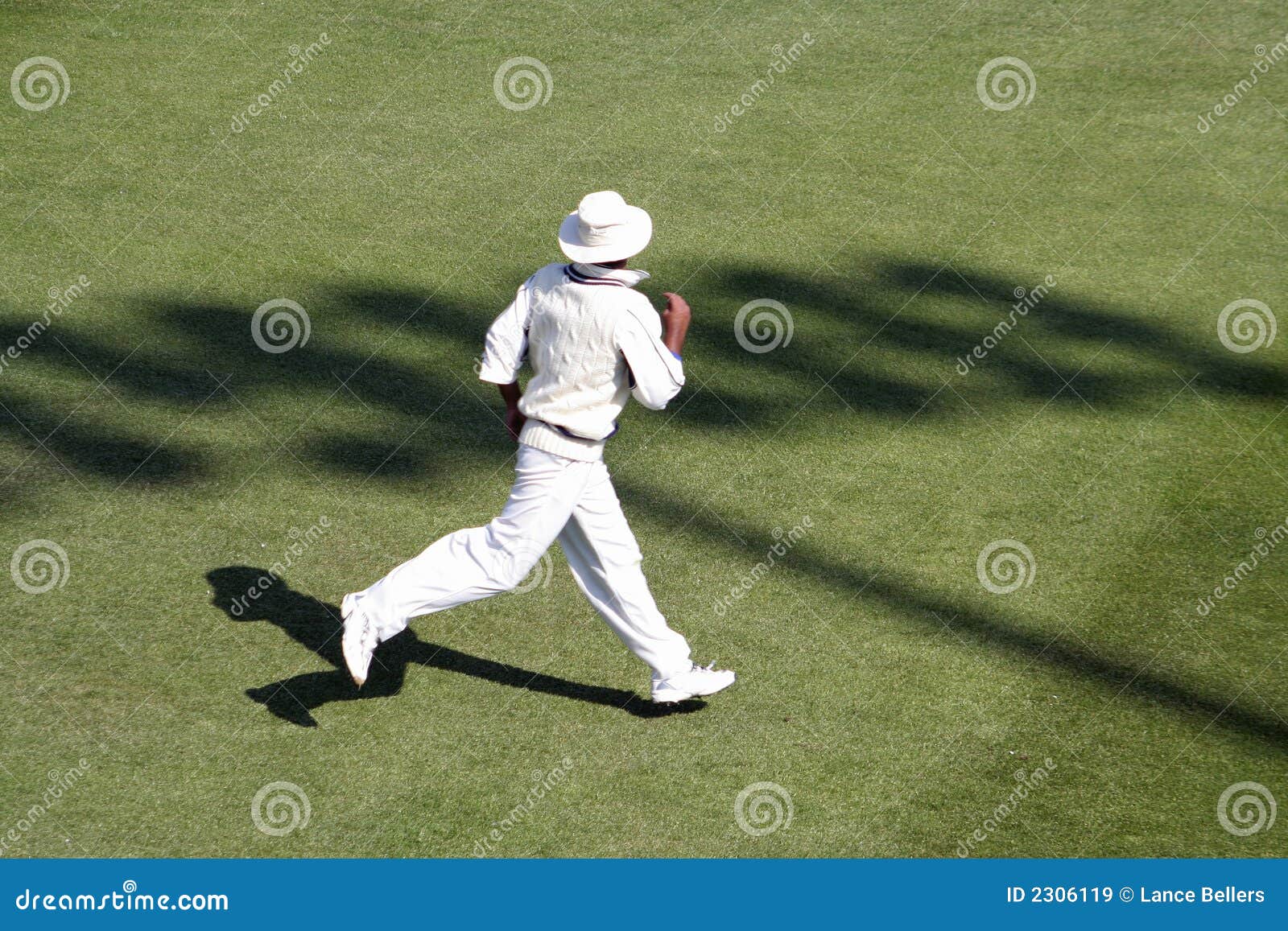 Cricket fielder stock image. Image of fielding, alone - 2306119