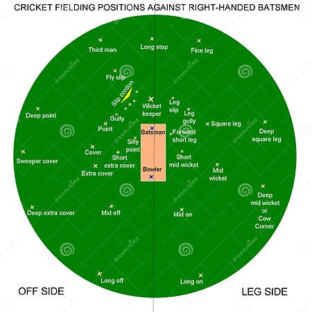 Cricket fielding positions stock vector. Illustration of third - 20324585
