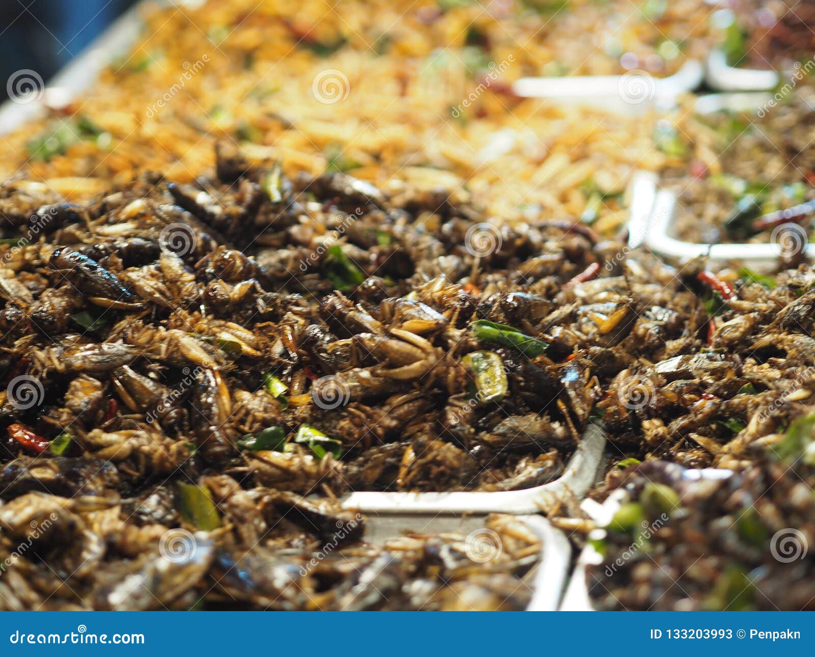 Cricket Fried Insects Entomophagy Stock Image - Image of insects, fried ...
