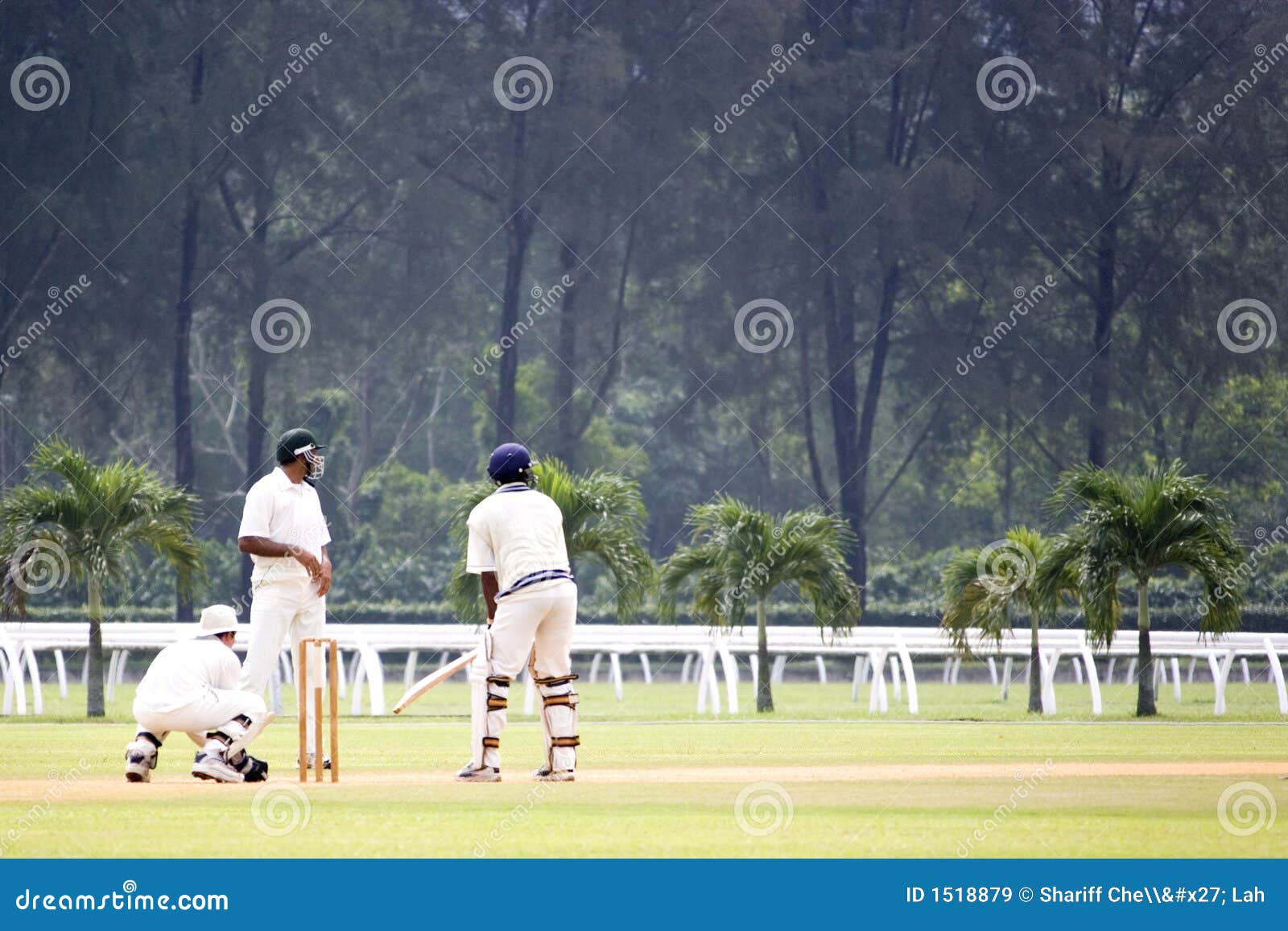 Cricket Game stock image. Image of bowl, bowled, bats - 1518879