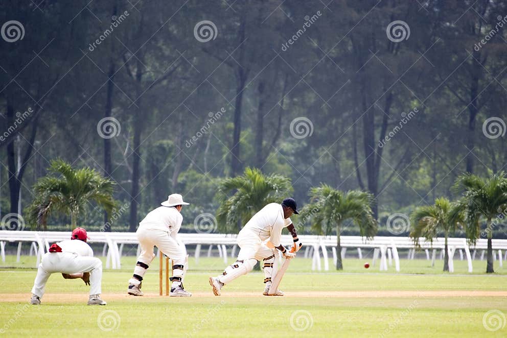 Cricket Game stock photo. Image of championship, pitch - 1518944