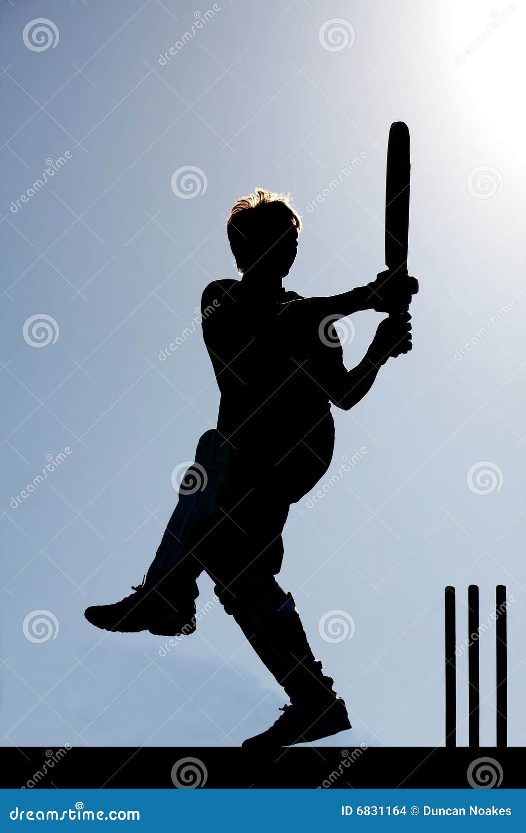 Cricket game Silhouette stock photo. Image of active, outdoor - 6831164