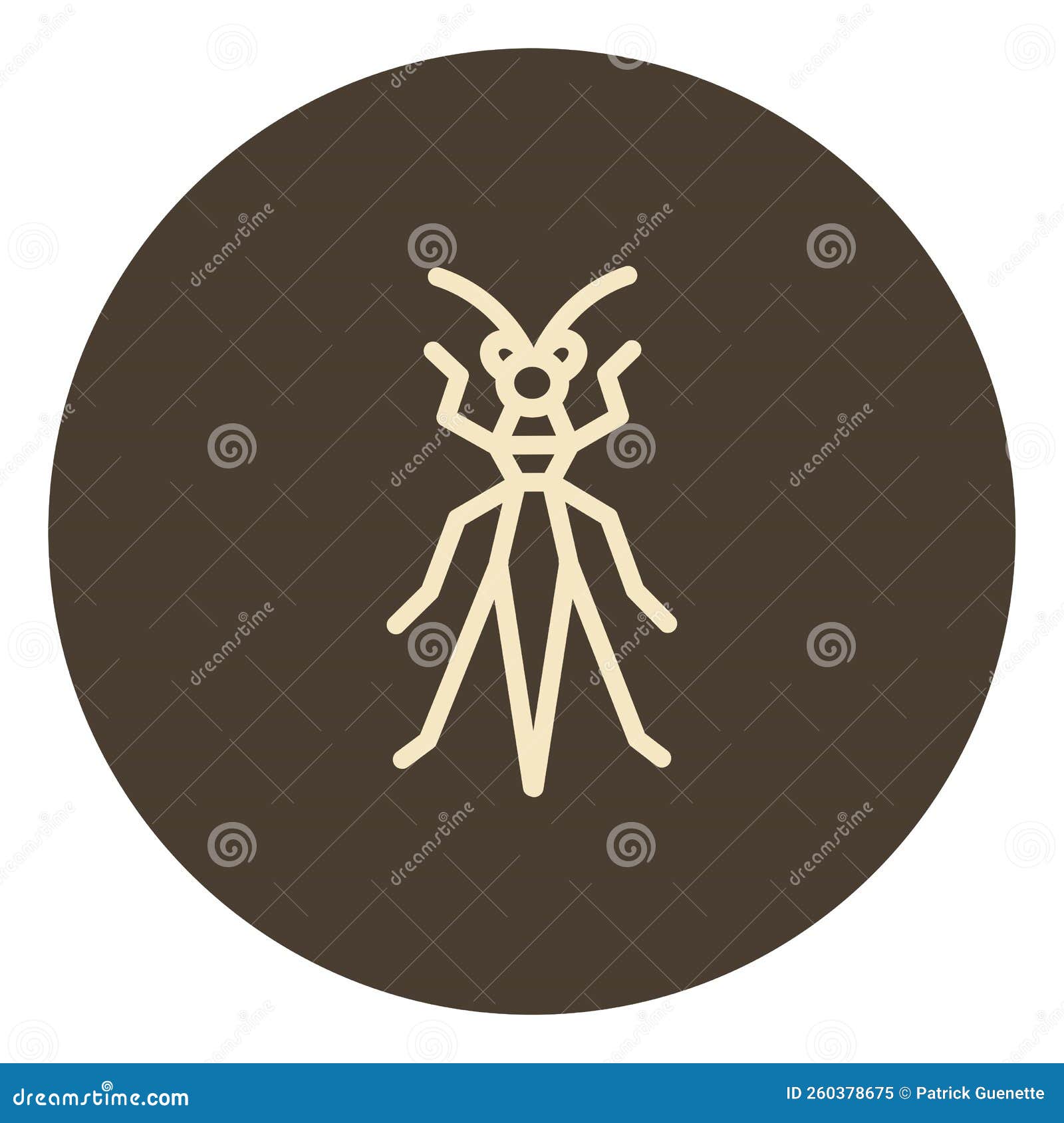 Cricket insect, icon stock vector. Illustration of vector - 260378675