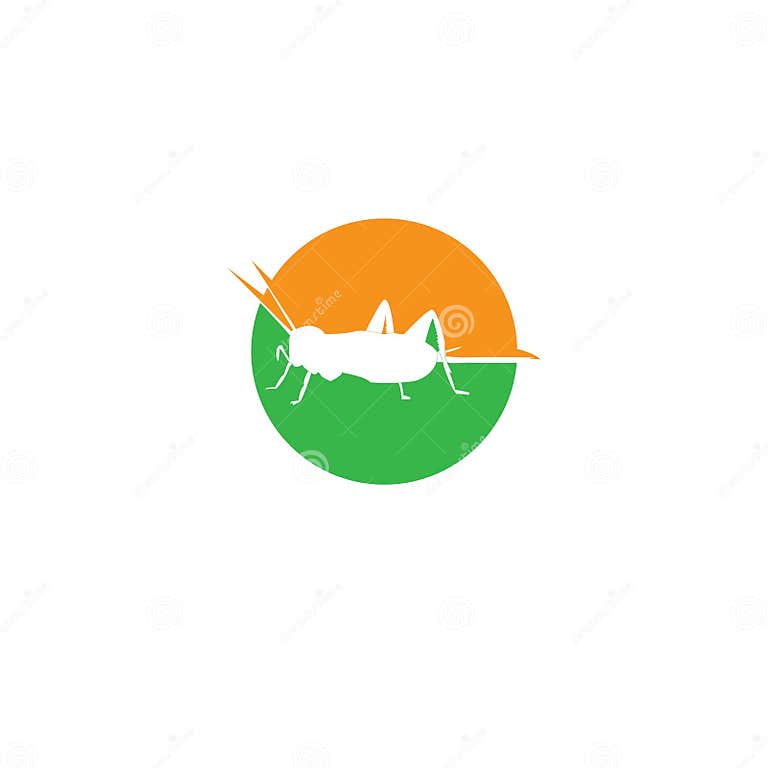 Cricket Insect Logo Vector Template Stock Illustration - Illustration ...